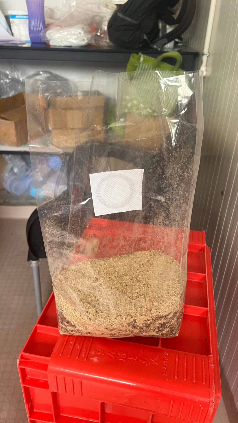 Premium Five Layer Filter Patch Bag - Size 12x18 (56 Micron) 5 bags ...